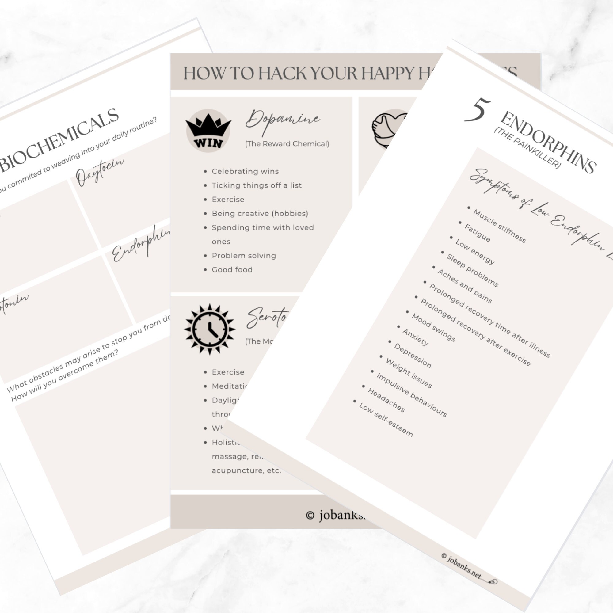 Hack Your Happy Hormones / Quick Course/ PDF / Printable / Downloadable ...