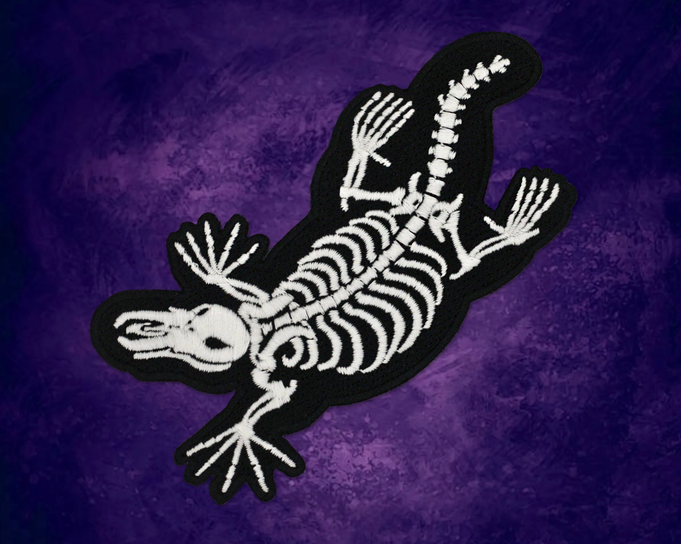 Platypus Skeleton