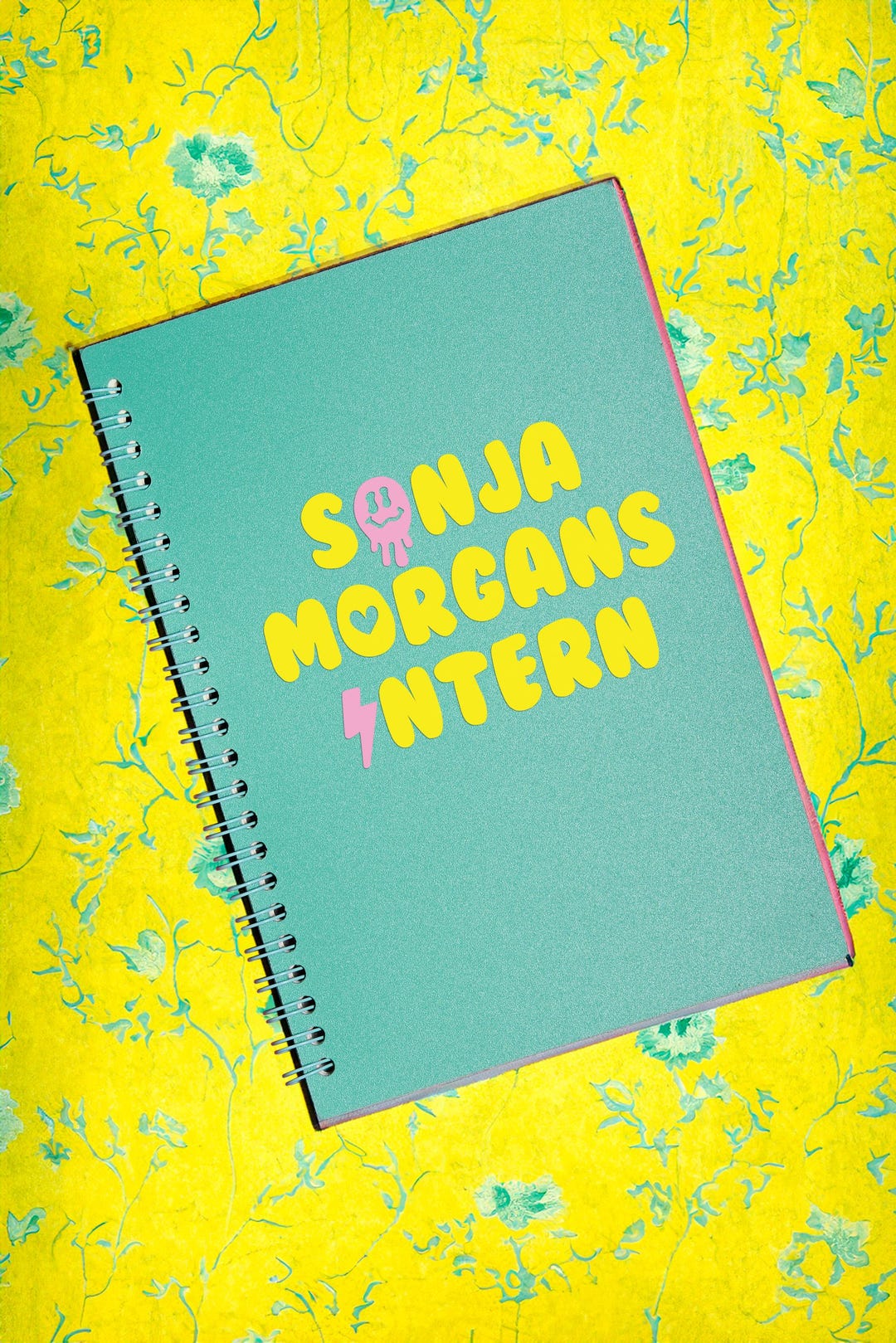 Sonja Morgans Intern Notebook, Real Housewives of New York Journal ...
