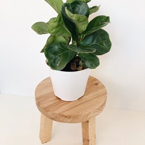 Stool, Solid Pine Stool, Plant Stand, Handmade, Modern Furniture ...