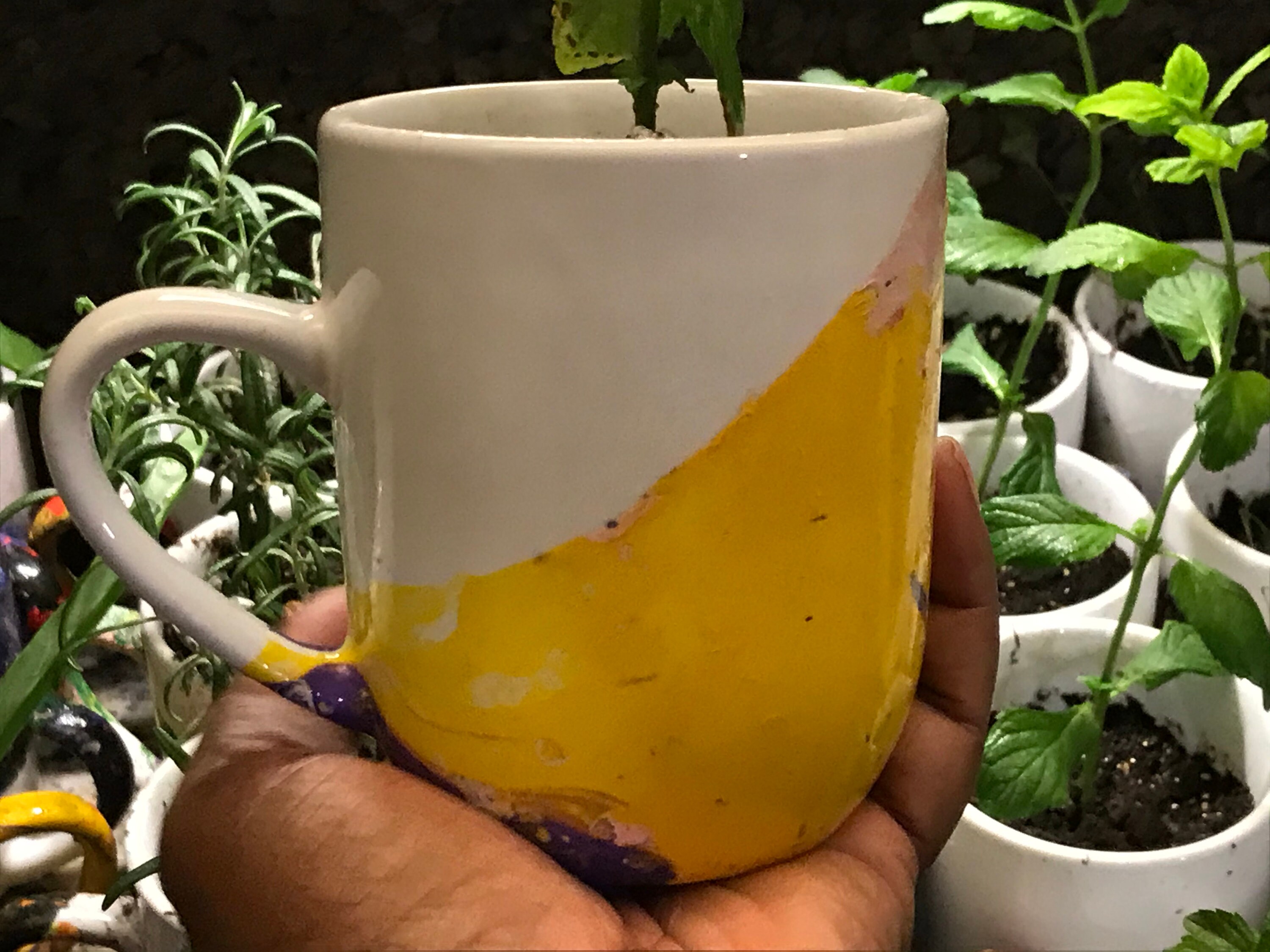 Plant Hugs In A Mug, tasses hydro peintes avec des herbes et de laloès ...