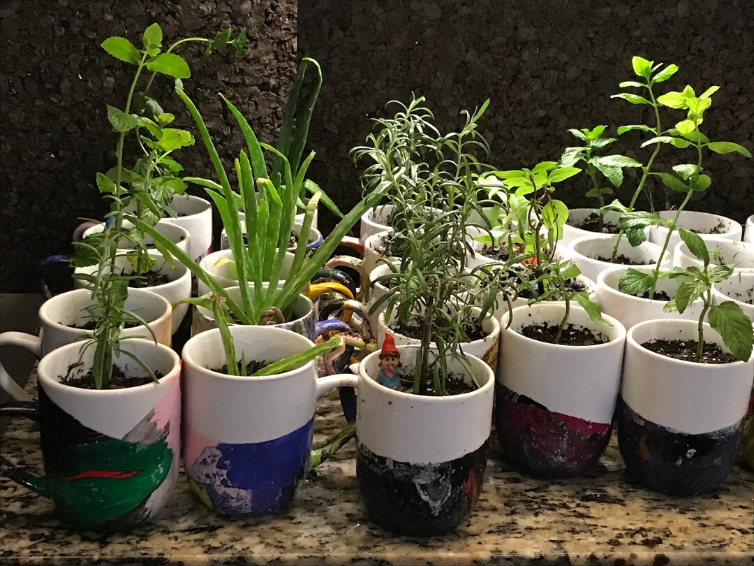 Plant Hugs In A Mug, tasses hydro peintes avec des herbes et de l’aloès ...