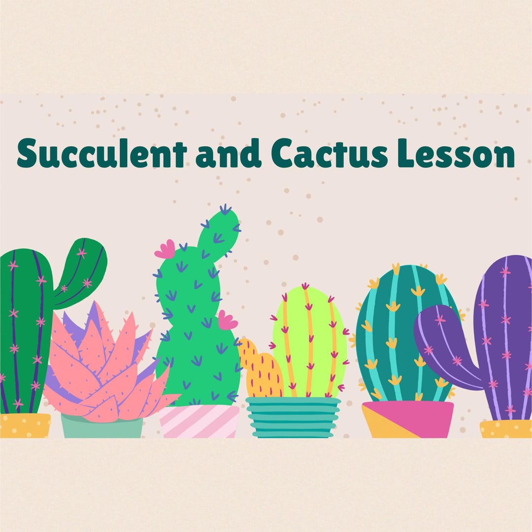 Succulent and Cactus Lesson- Plant Science Lesson - Etsy
