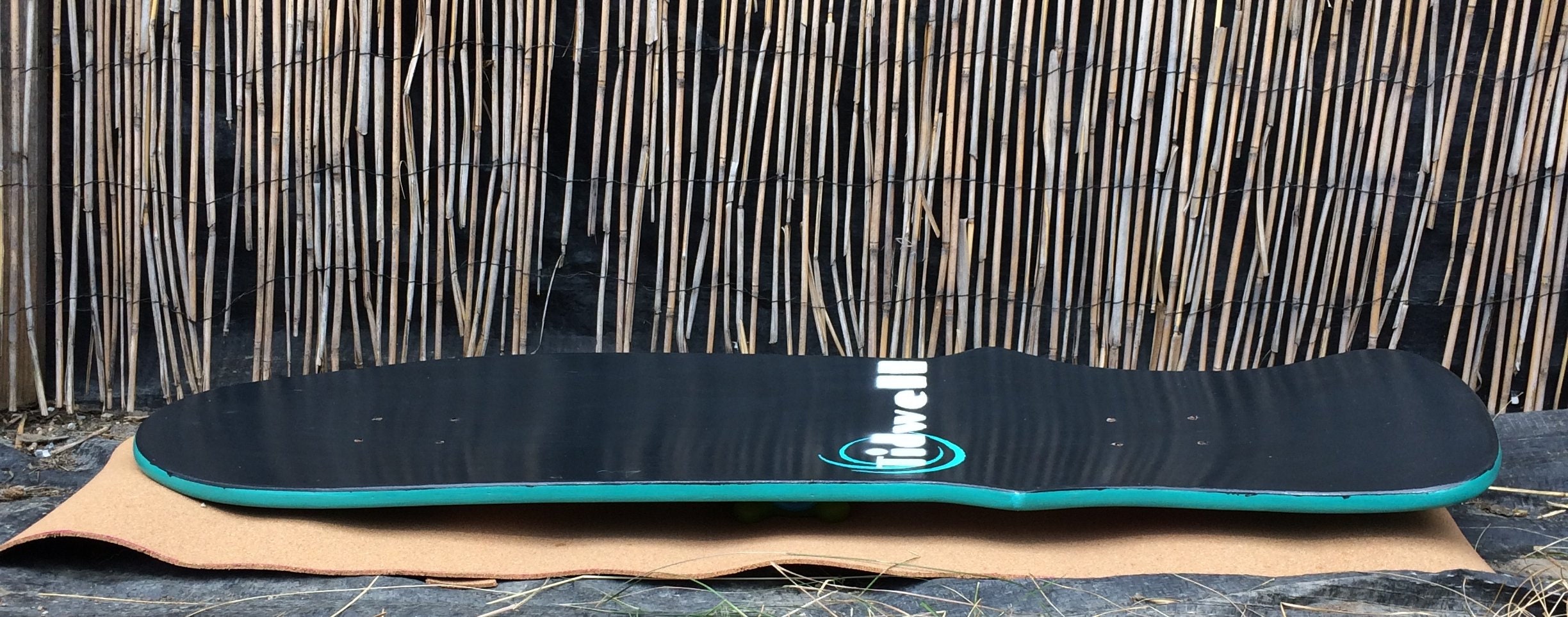 Handmade Cruiser Style Skateboard With sheldon J. Plankton Graphics - Etsy