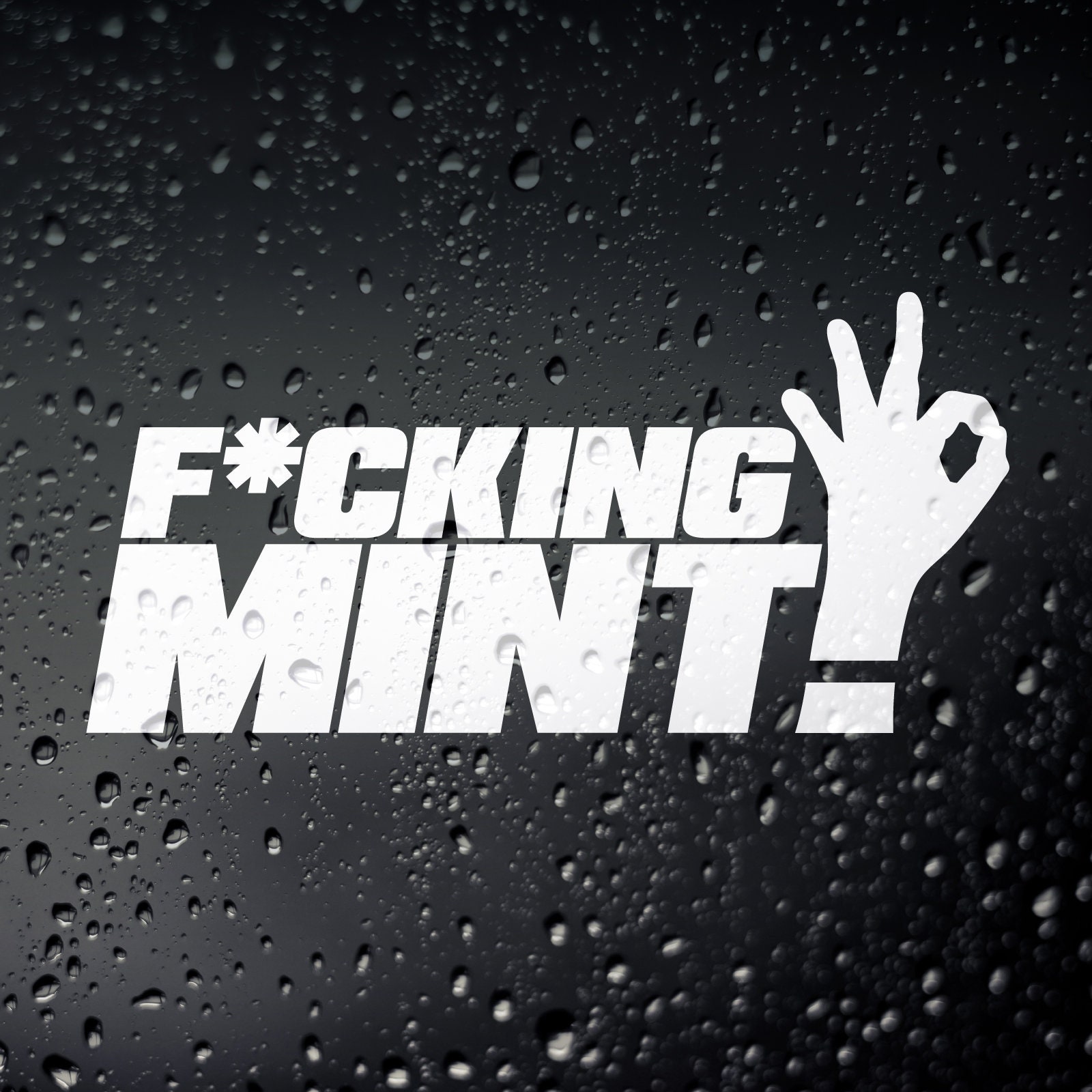 Fcking Mint Funny Meme Car Sticker Tuner Drift JDM Show Car - Etsy