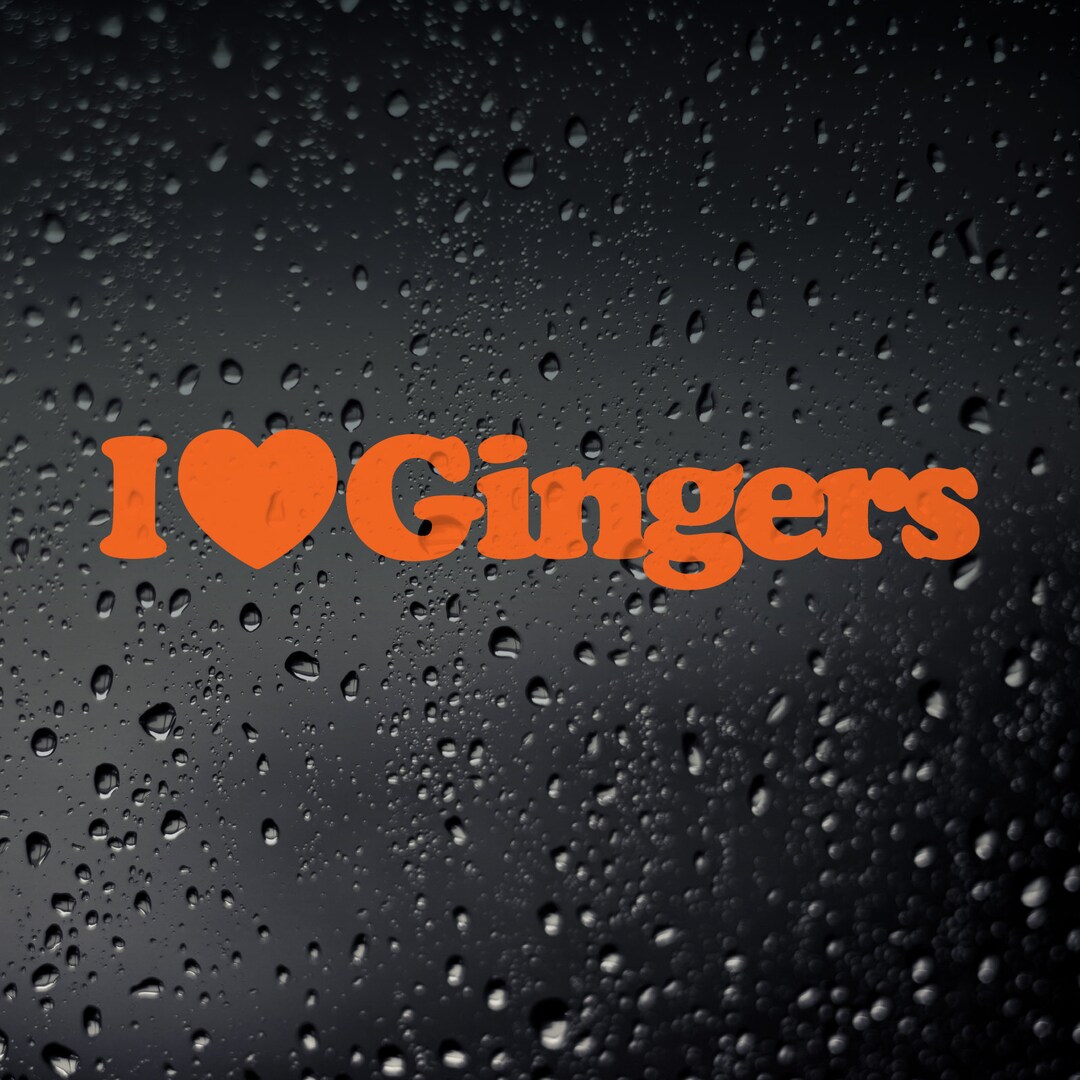 I Love Gingers Funny Car Window Sticker - Etsy