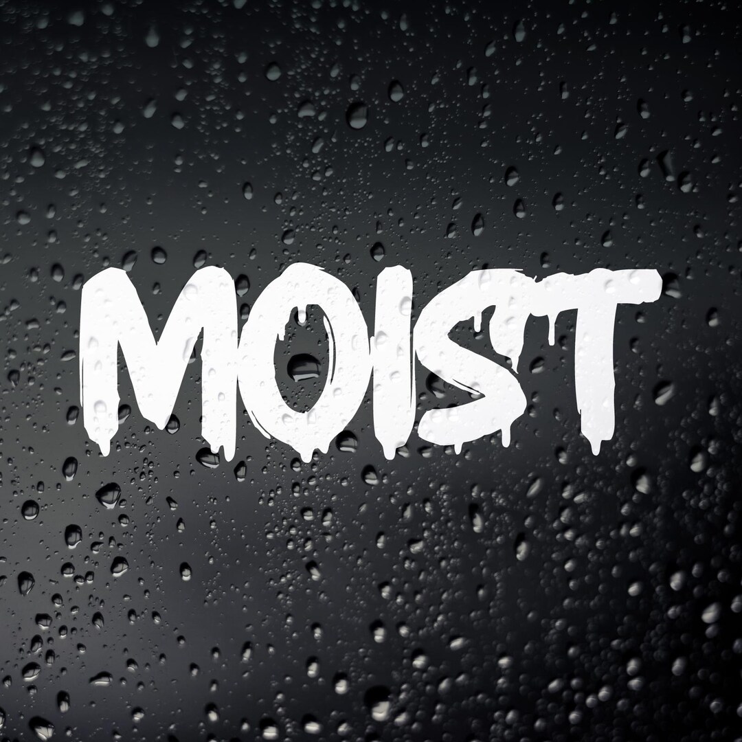 Moist Slap Sticker Funny Car Sticker, JDM Drift Stance Jap Bumper ...