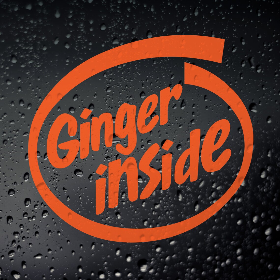 Ginger Inside Funny Car Window Sticker - JDM Jap Campervan off Road Rat ...