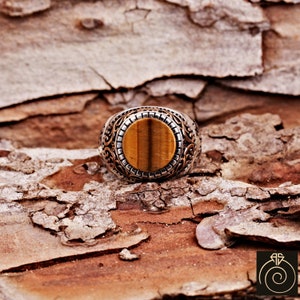 Men’s Brown Occult Ring, Custom Sterling Silver Tiger’s Eye Gemstone ...