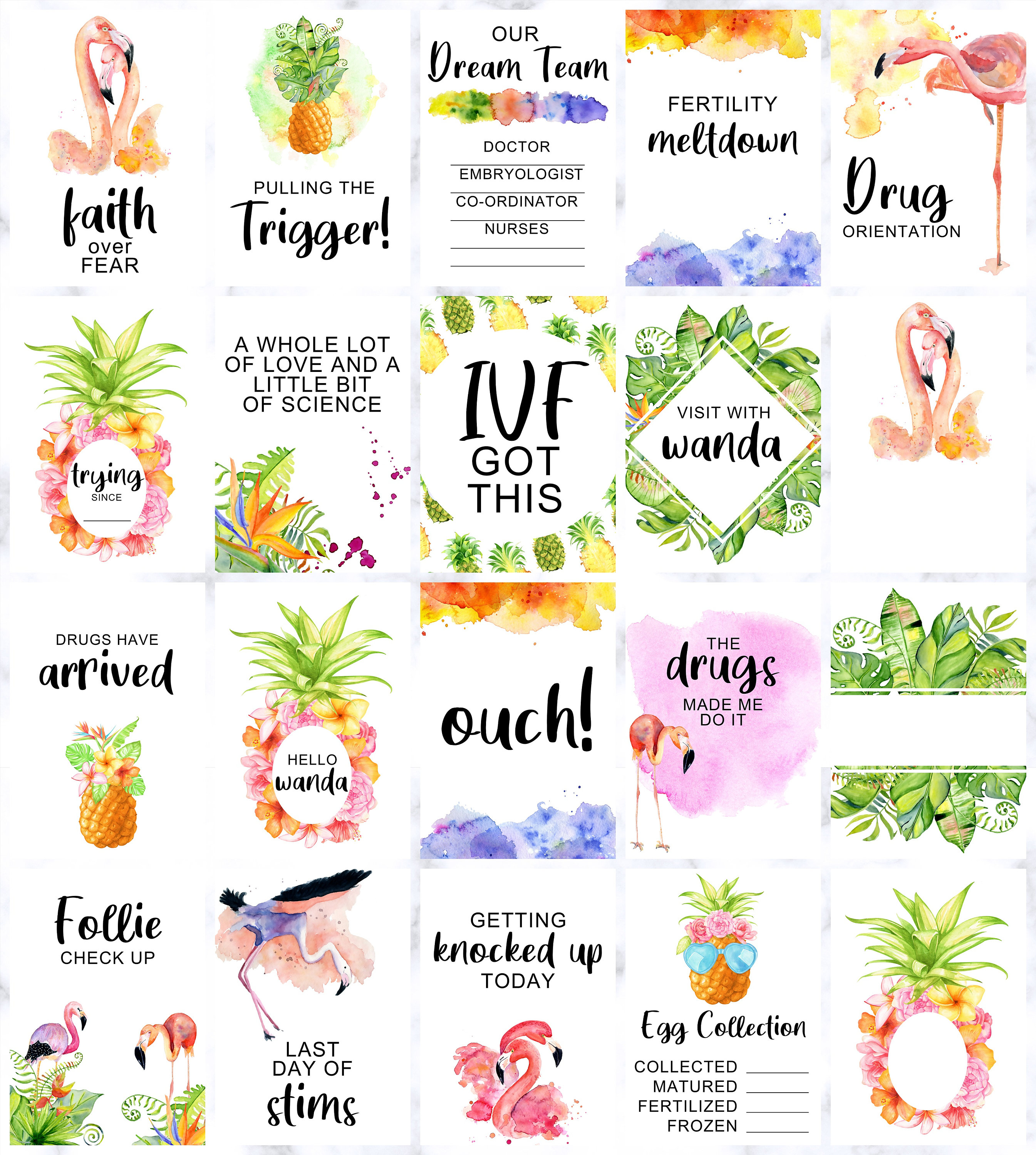 IVF Pineapple and Flamingo Milestone Record Cards | IVF Journey Cards ...