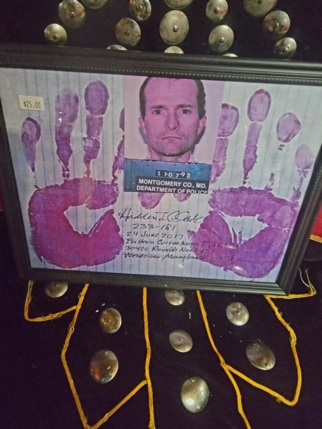 1 Framed Serial Killer HADDEN CLARK Collection Oddities Taxidermy - Etsy