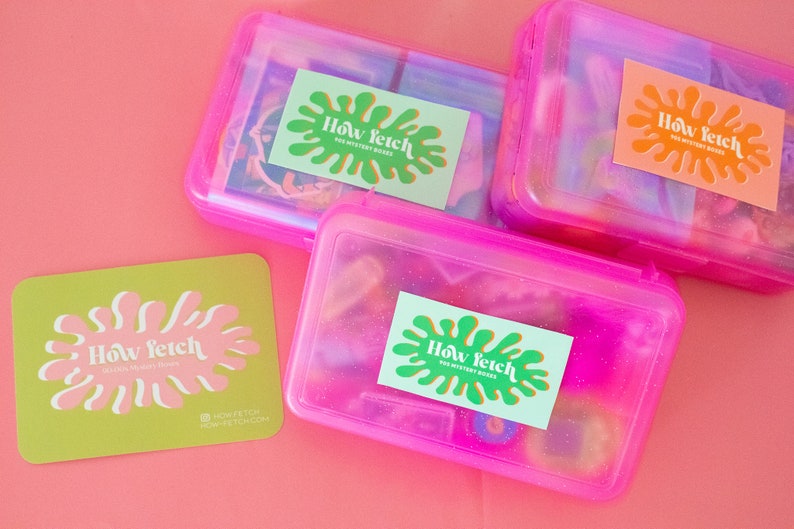 SMALL 90s Y2k Mystery Box, School Girl, Tamagotchi, Birthday Boxes, 90s ...