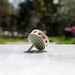 Wooden Spinning Top | Handmade Spinning Top | Handcrafted Wooden Toy ...