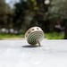 Wooden Spinning Top | Handmade Spinning Top | Handcrafted Wooden Toy ...