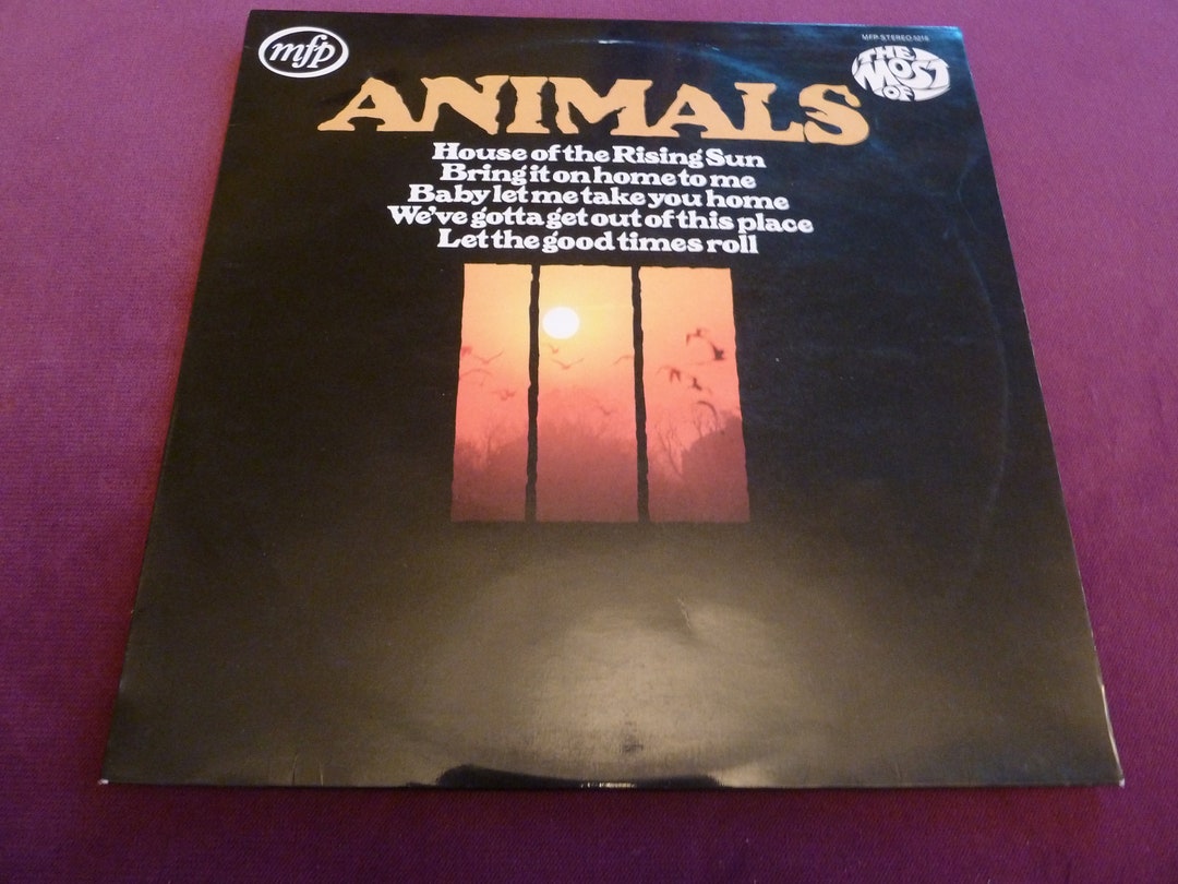 Animals the Most of LP 1971 - Etsy