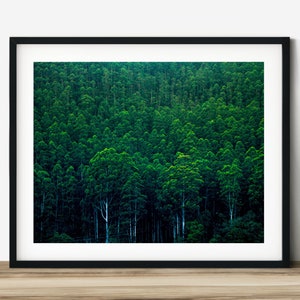 Deep Forest, Color Plant Photography. Printable Wall Art. Ready Made to ...