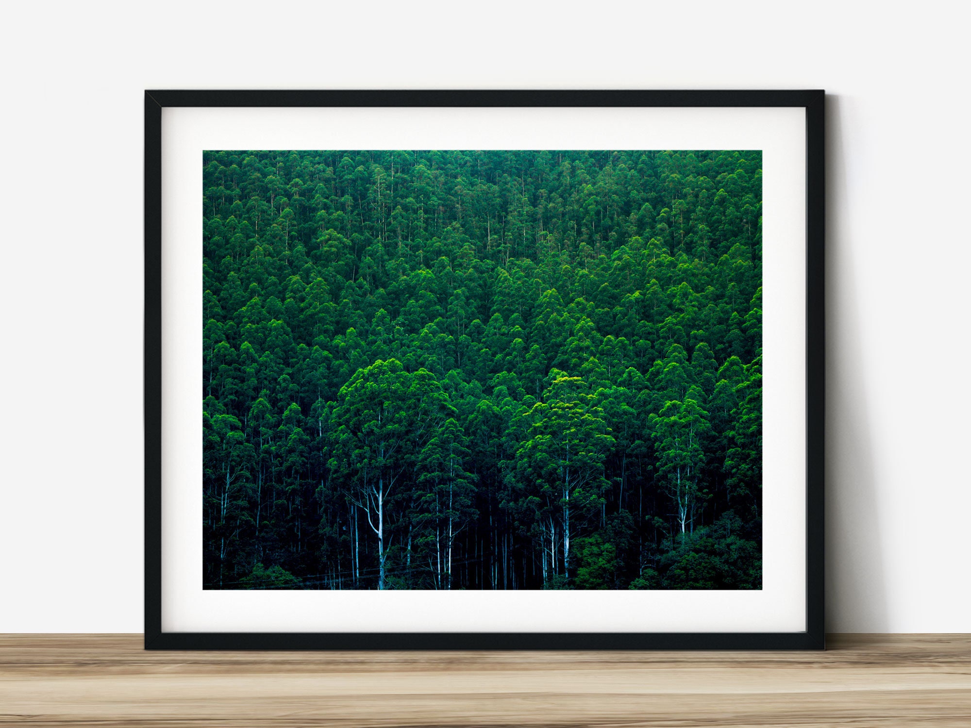 Deep forest color plant photography. Printable wall art. | Etsy