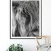 Buffalo Bull Photography Black & White Animal Photography. - Etsy