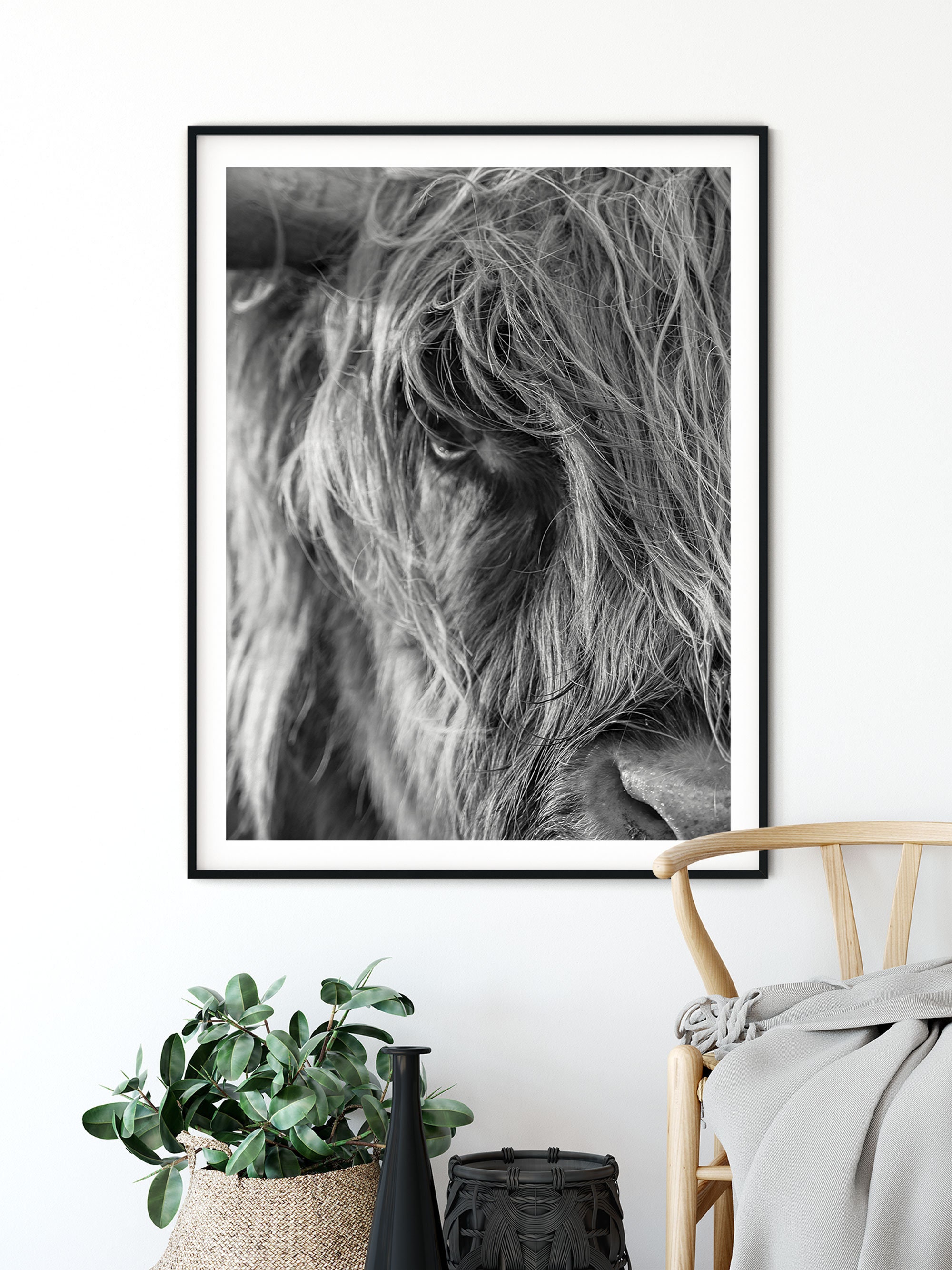 Buffalo Bull Photography Black & White Animal Photography. | Etsy