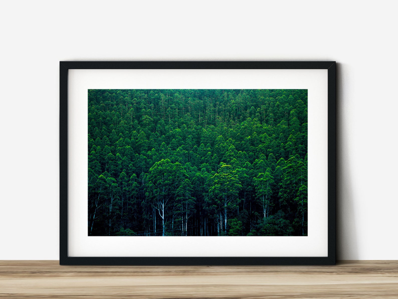 Deep forest color plant photography. Printable wall art. | Etsy