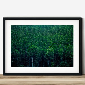 Deep Forest, Color Plant Photography. Printable Wall Art. Ready Made to ...