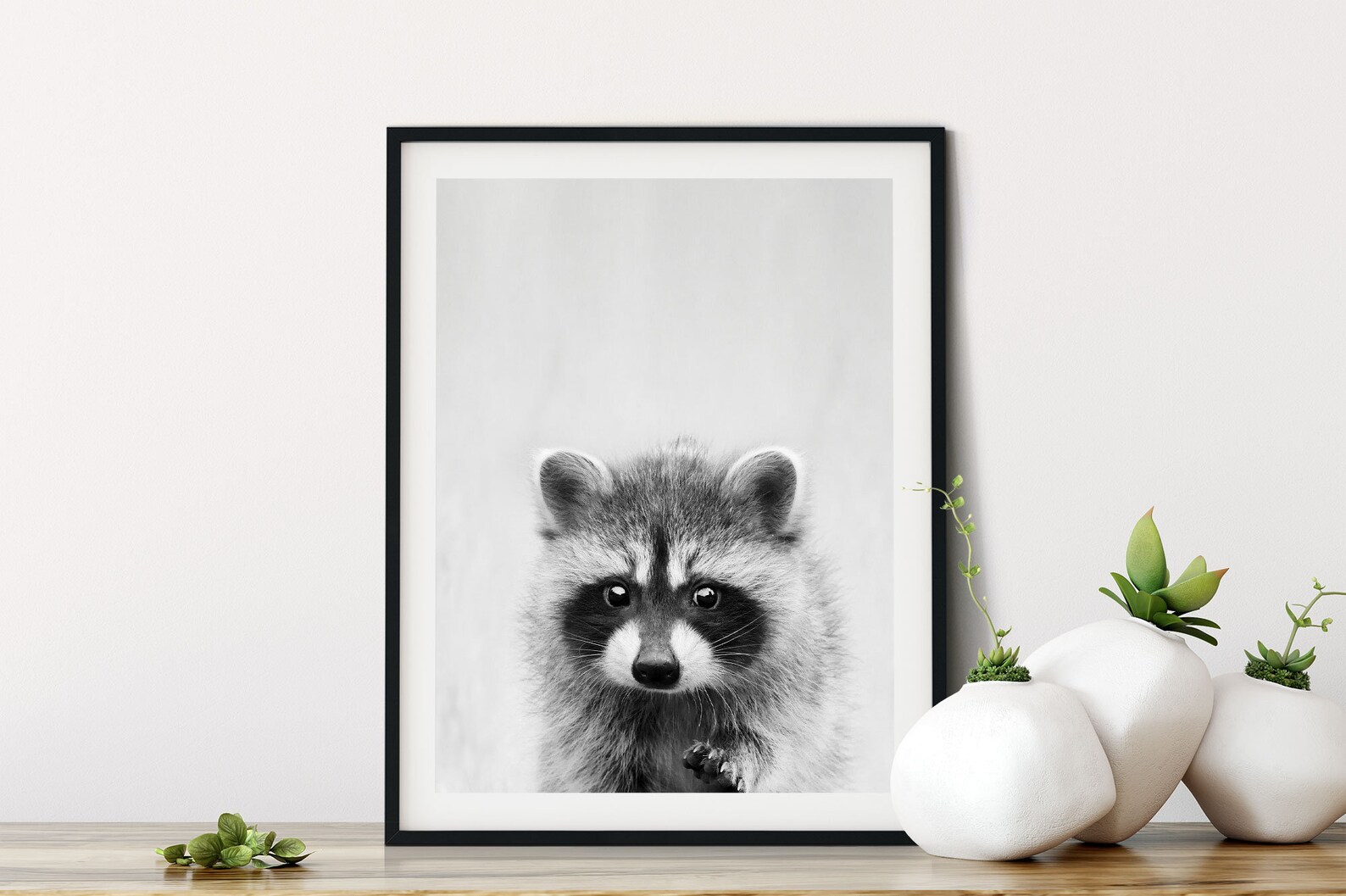 The Portrait of Baby Racoon Black & White Animal Photography. - Etsy