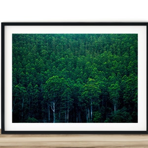 Deep Forest, Color Plant Photography. Printable Wall Art. Ready Made to ...