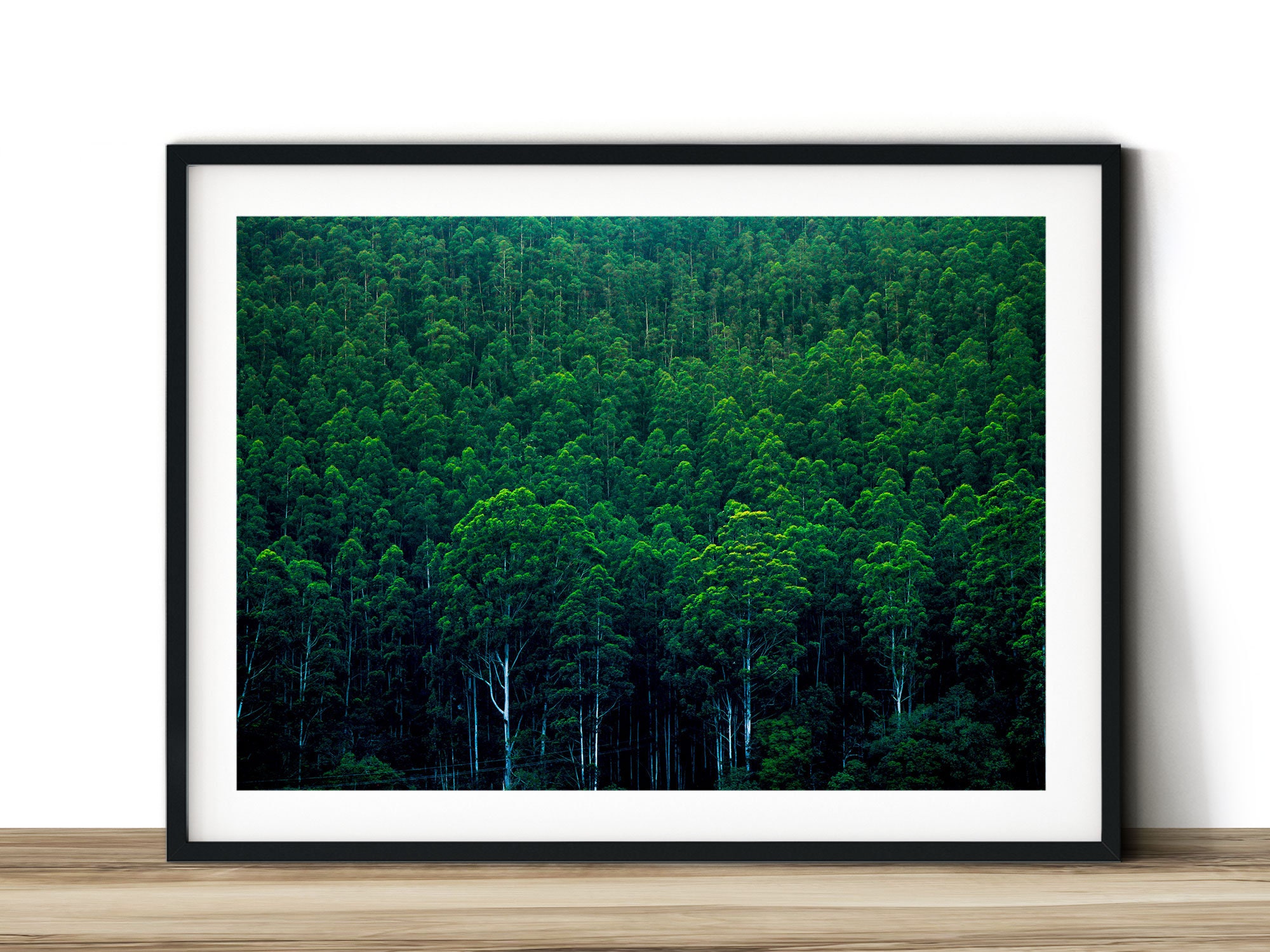 Deep forest color plant photography. Printable wall art. | Etsy