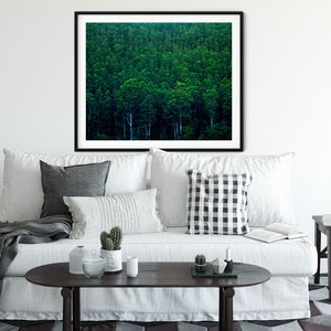 Deep Forest, Color Plant Photography. Printable Wall Art. Ready Made to ...
