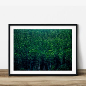 Deep Forest Color Plant Photography. Printable Wall Art. - Etsy