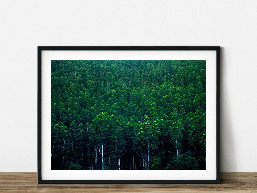 Deep Forest, Color Plant Photography. Printable Wall Art. Ready Made to ...