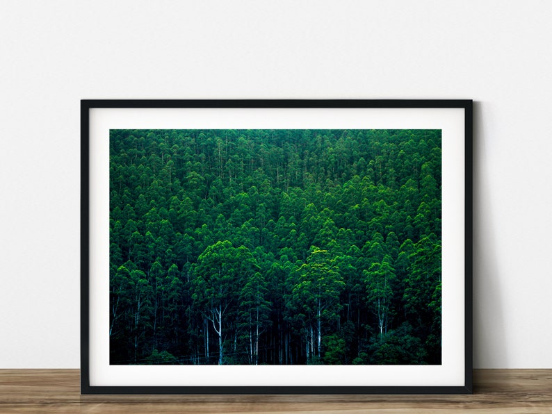 Deep Forest Color Plant Photography. Printable Wall Art. - Etsy