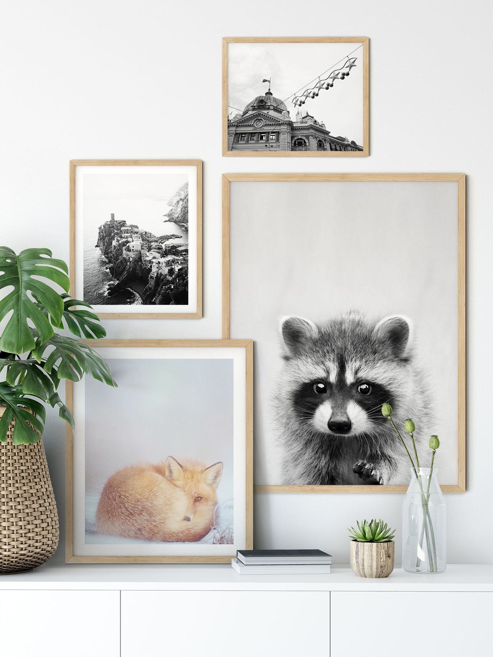The Portrait of Baby Racoon Black & White Animal Photography. - Etsy