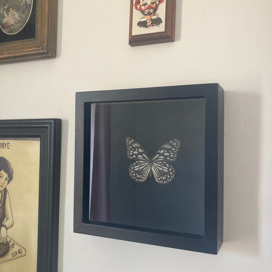 Butterfly Shadow Box - Etsy