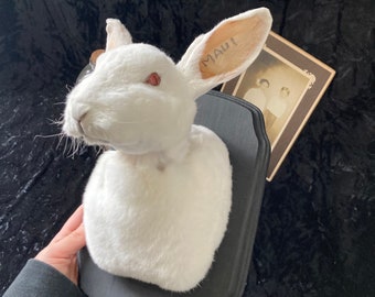 Taxidermy Rabbit - Etsy