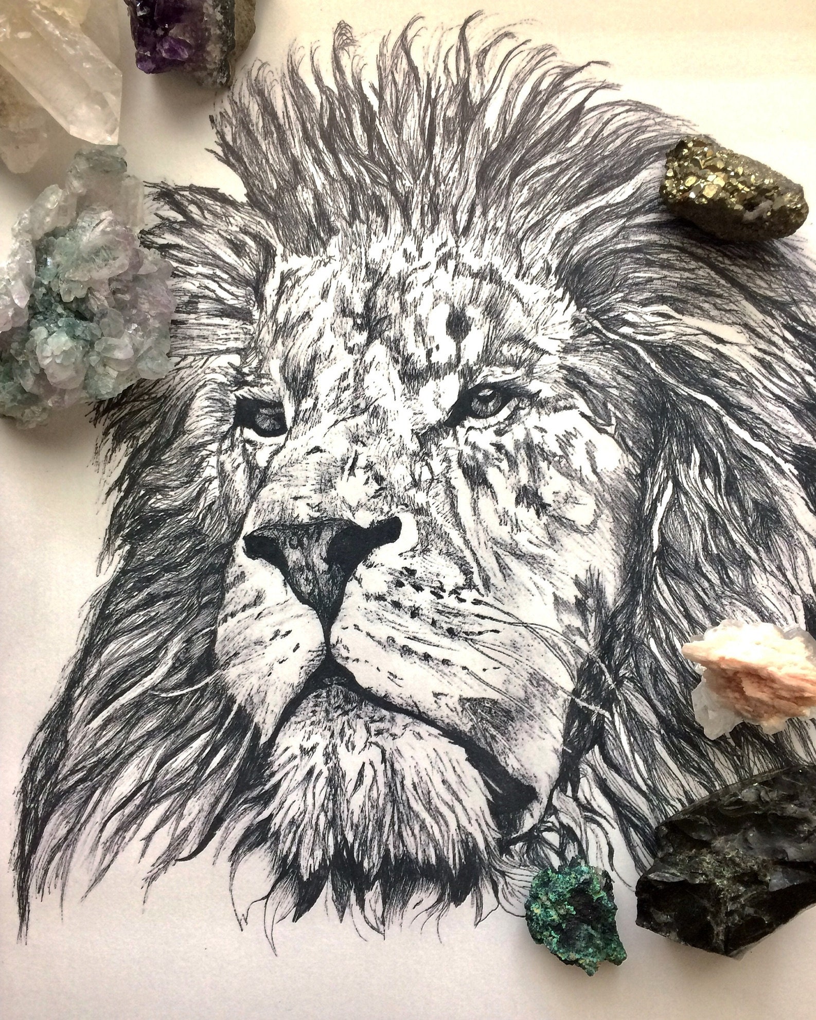 Leijona - Lion, A4 Print, 10 Piece-limited Edition. *signed and ...