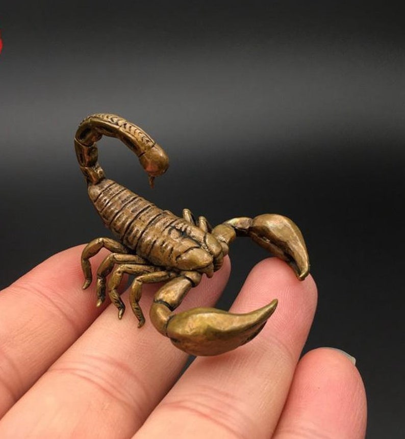 Hand-made Long-tailed Scorpion Tea Pet Poisonous Hook - Etsy