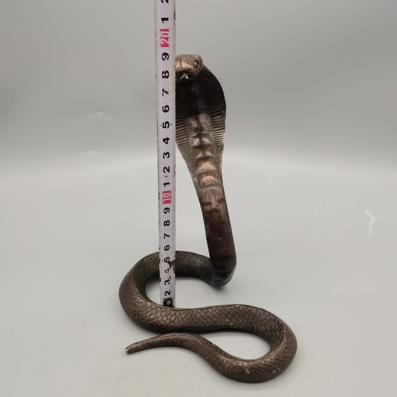 Kd 5 Year Of The Snake