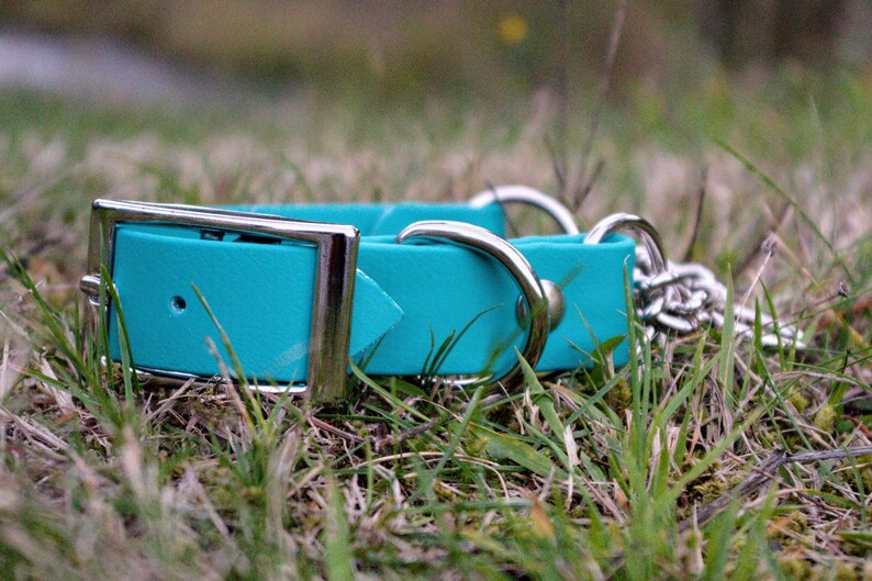1 Chain Martingale Biothane Dog Collar - Etsy