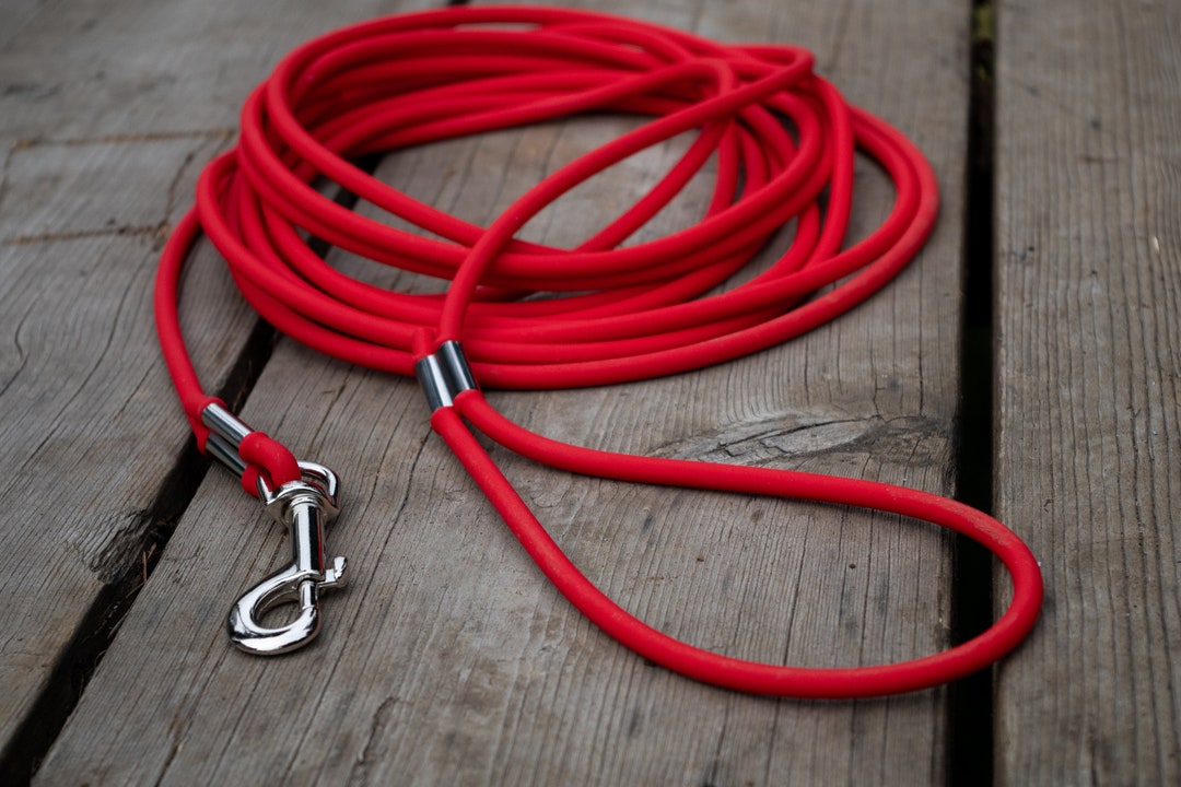 Biothane Rope Long Line | With Handle - Etsy