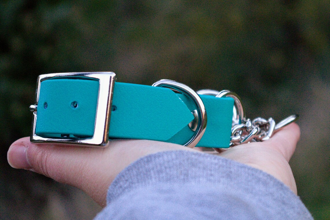 1 Chain Martingale Biothane Dog Collar - Etsy