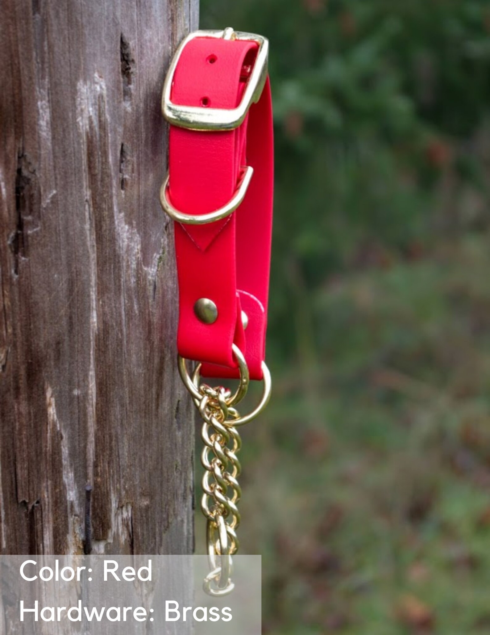 1 Chain Martingale Biothane Dog Collar - Etsy