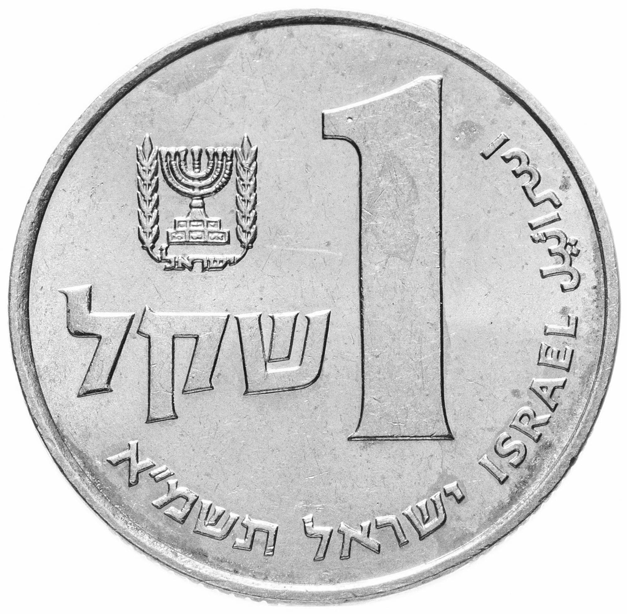 Israel Coin Ring 1 Shekel 1981-1985 Coin Rings for Men Coin - Etsy