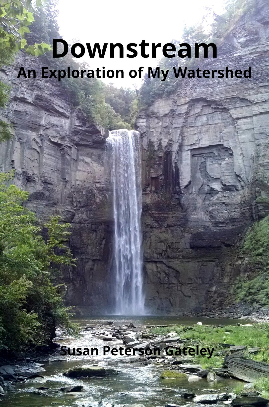 Downstream an Exploration of My Watershed - Etsy
