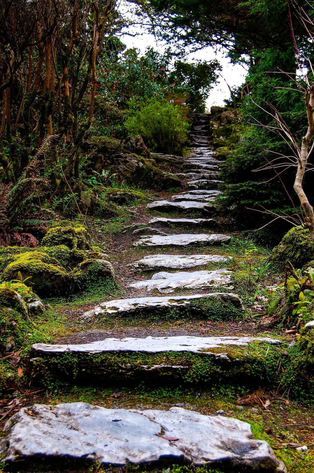 Ancient Stone Path, Path, Hill, Trees, Woods, Flat Stones, Large Stones ...