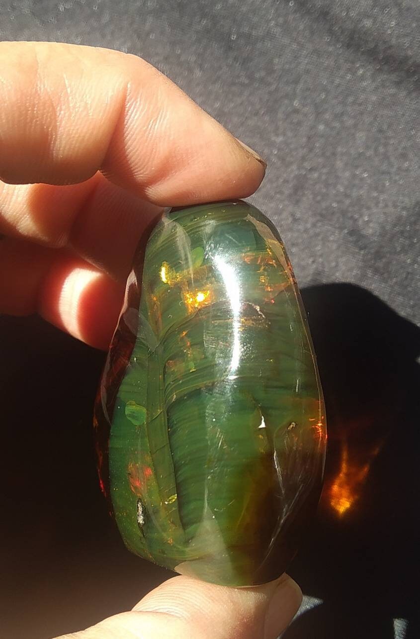 Ámbar mexicano verde con insectos | Etsy