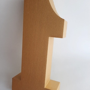 Number 1 Photo Prop, First Birthday, Number One, Gold Glitter Number ...