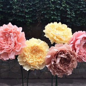 Standing Giant Paper Flowers , Self-standing Paper Peony , Crepe Paper ...