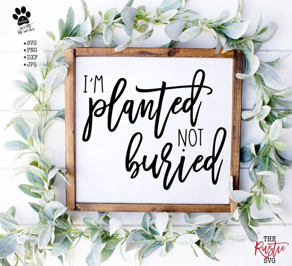 I'm Planted Not Buried Svg Inspirational Svg Inspirational Sign,Cut ...
