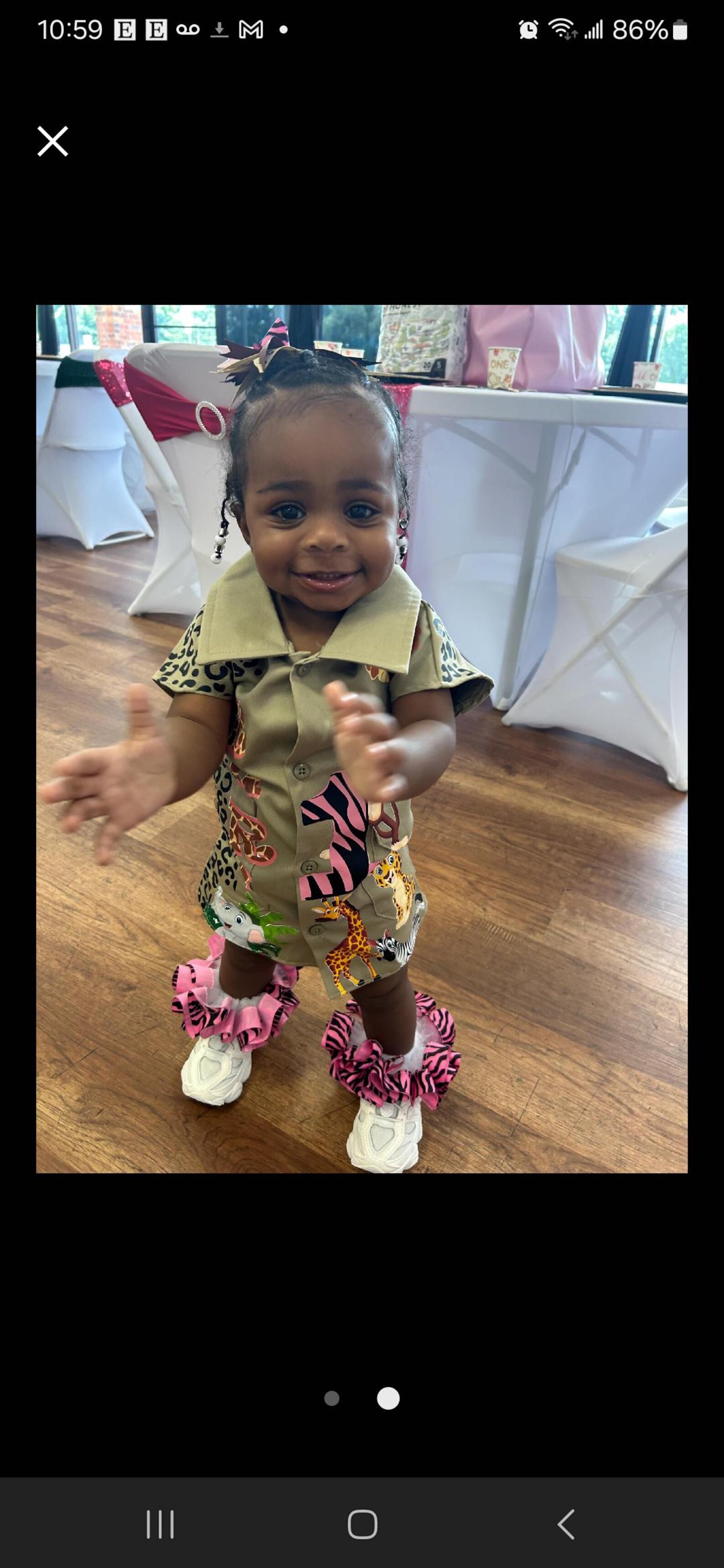 Wild One Zoo Theme Custom Dickie Dress for Babygirl Birthday or Any ...